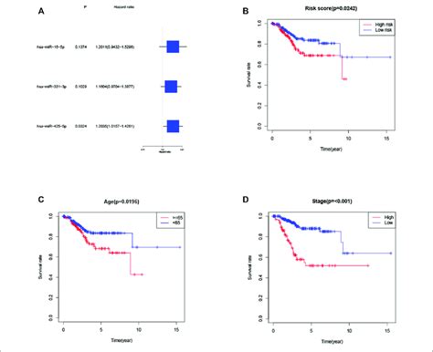Construction Of The Risk Score Model A Univariate Cox Regression