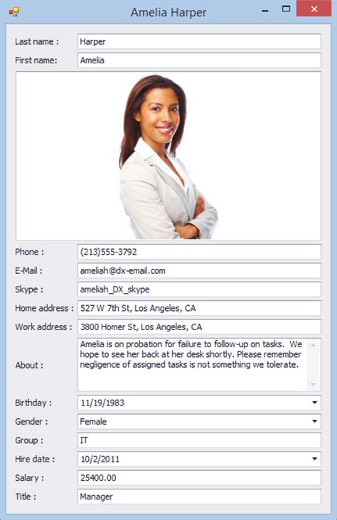 winforms data layout control data annotation attributes