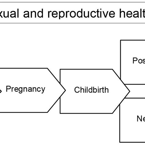Continuum Of Sexual And Reproductive Health And Maternal Newborn