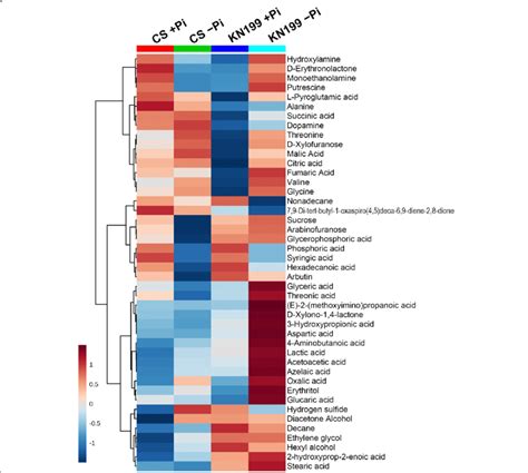 Heatmap And Hierarchical Cluster Analysis For The 44 Detected