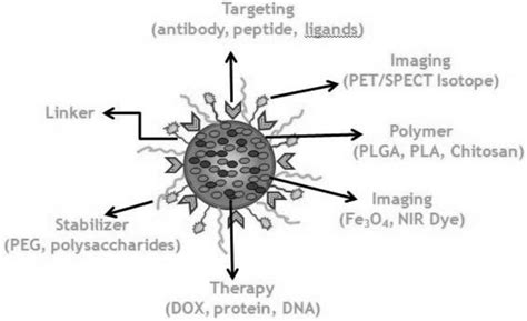Schematic Representation Of A Multifunctional Polymeric Nanoparticle