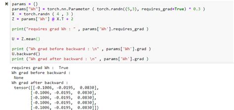 parameter vs tensor requires grad true autograd pytorch forums