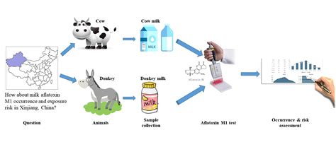 Occurrence Of Aflatoxin M1 In Three Types Of Milk From Xinjiang China