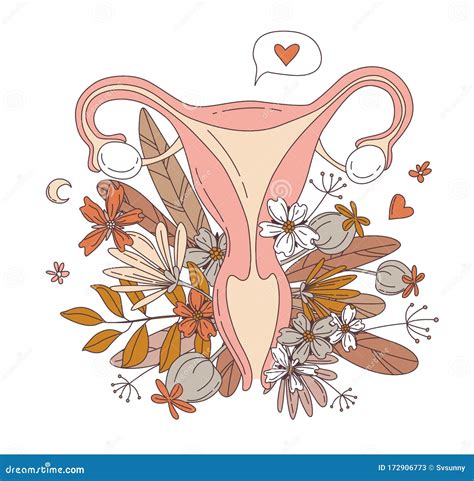 Women`s Reproductive System Uterus With Floral Flowers Pattern Stock