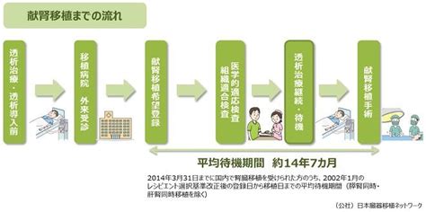 よくわかる基礎知識｜腎代替療法を受ける前の準備（透析、腎移植） 家族と考える慢性腎臓病サイト 腎援隊