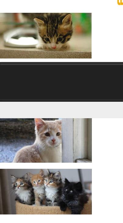 javascript angularjs carousel not working stack overflow