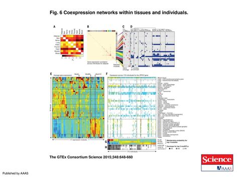The Genotype Tissue Expression Gtex Pilot Analysis Multitissue Gene