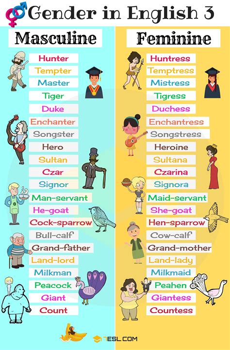 Gender Of Nouns Useful Masculine And Feminine List • 7esl Gender In