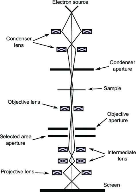 Electron Microscope Principle Types Applications Microbe Online