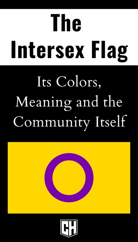 The Intersex Flag Its Colors Meaning And The Community Itself – Artofit
