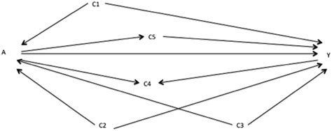 Directed Acyclic Graph Showing One Set Of Alternative Putative