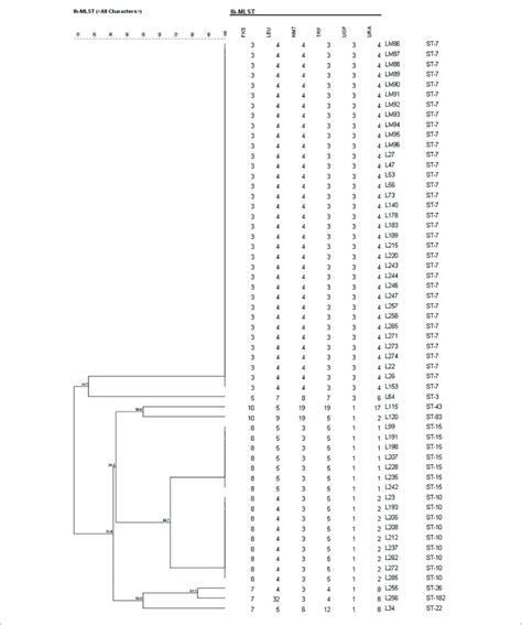 Unweighted Pair Group Method With Arithmetic Means Dendrogram Via
