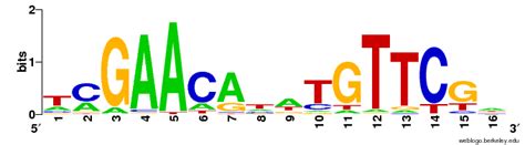 structural annotation — bioinformatics at comav 0 1 documentation