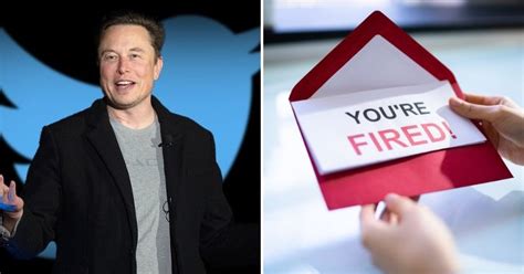 Elon Musk May Layoff 3700 Twitter Employees