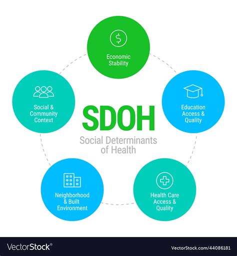 Sdoh Social Determinants Of Health Infographic Vector Image