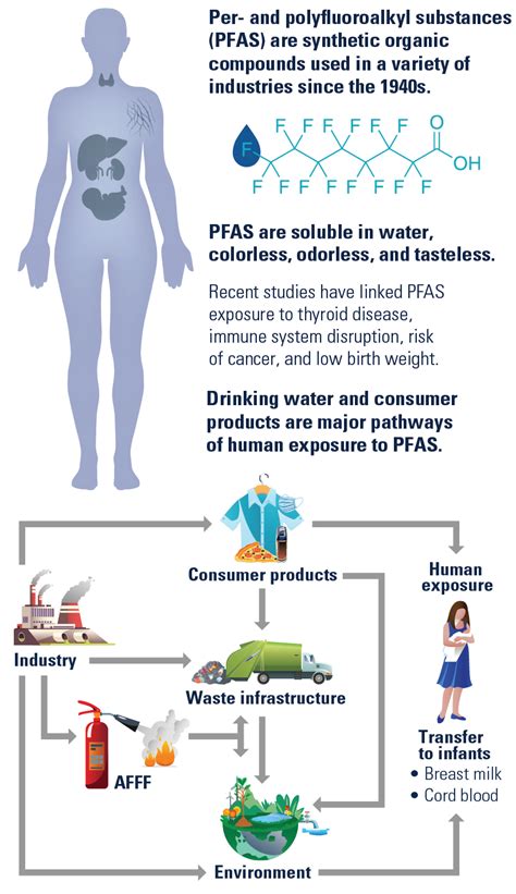 What Are Per And Polyfluoroalkyl Substances Pfas U S Geological