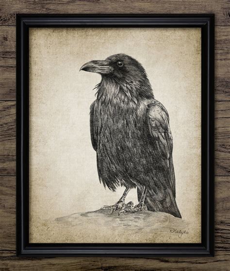 Raven Pencil Drawing Printable Raven Raven Poster Gothic Etsy In 2021