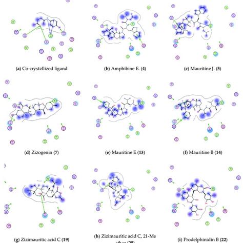 Showing 2d Binding Interactions Of Co Crystallized Ligand A And