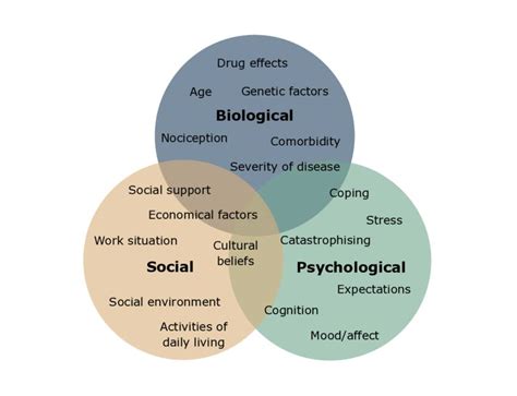 The Biopsychosocial Model