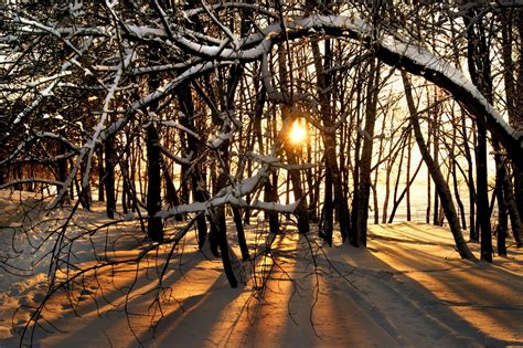 Wallpaper Sunlight Trees Landscape Sunset Nature Snow Winter