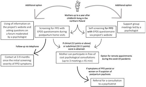 Ijerph Free Full Text ‘next Stop Mum Evaluation Of A Postpartum