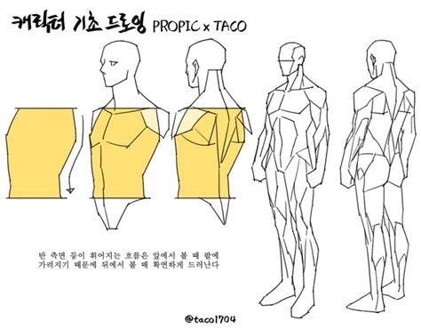 타코작가 Taco1704 On X 2024 해부학 그림 해부학 예술 드로잉 강좌