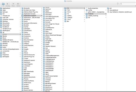 where does netbeans install your modules
