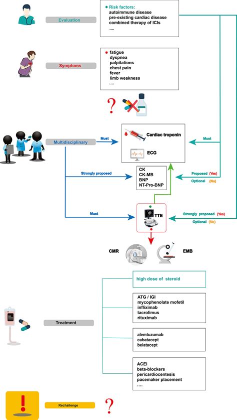 Frontiers Immune Checkpoint Inhibitor Associated Cardiotoxicity