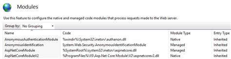 asp core hosting error internal server error handler aspnetcore