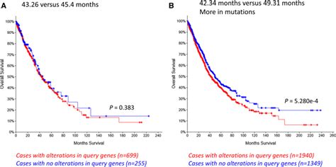 Overall Survival In Nsclc Patients With And Without Alteration In The
