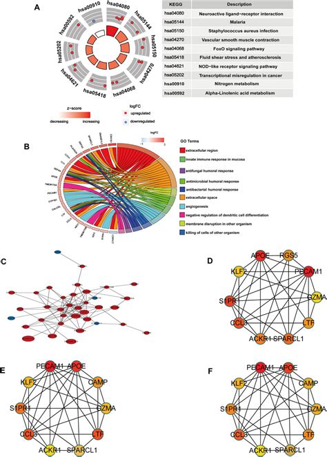 Frontiers Ltf Induces Senescence And Degeneration In The Meniscus Via