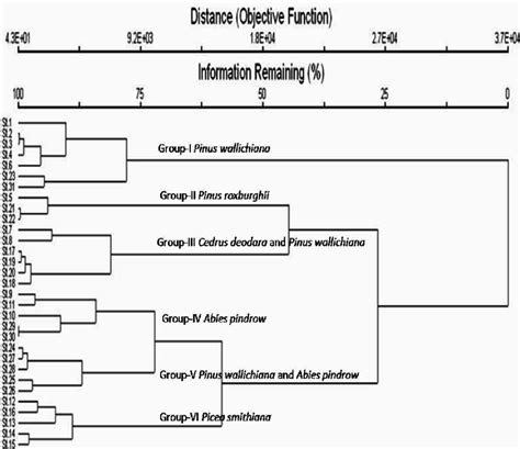 Dendrogram Obtained By Wards Cluster Analysis Showing Vi Groups Of