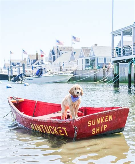 There Once Was A Pup On Nantucket Classy Girls Wear Pearls
