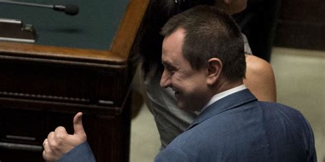 Come Funziona Il “rosatellum” Spiegato Il Post