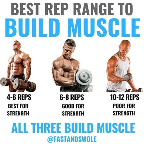 The Complete Exercises Sets And Reps Guide To Show Off Mind Blowing Delts