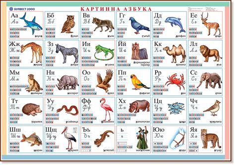 Учебно табло по български език за 1 клас Картинна азбука Store Bg