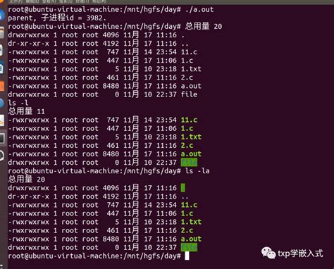 linux系统下进程编程之exec族函数解析（四） 腾讯云开发者社区 腾讯云