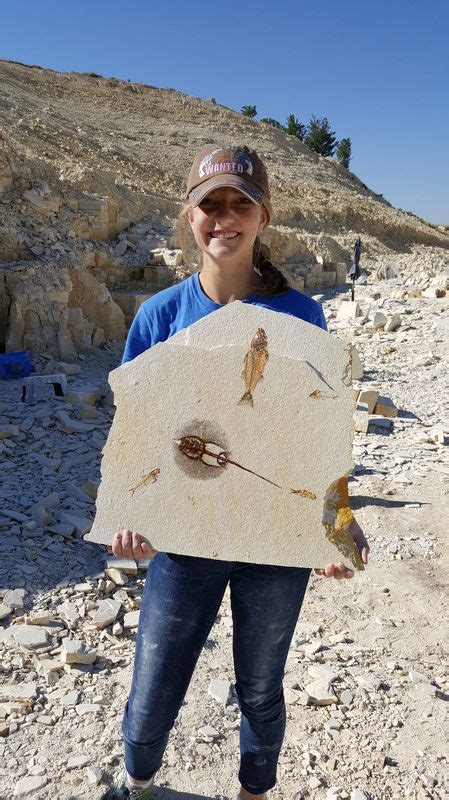 Dig And Keep Real Fossils At Our Quarry Fossil Digging In Kemmerer