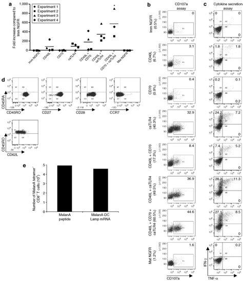 Induction Of Hla A2 Restricted Melana Specific Cd8 T Cells Cytolytic