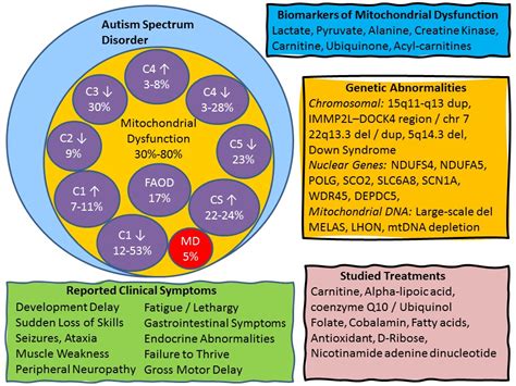 Mitochondrial Dysfunction In Autism Spectrum Disorder Atlas Of Science