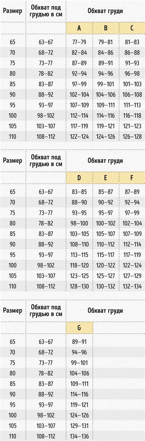 Как выбрать идеальный бюстгальтер отличная шпаргалка