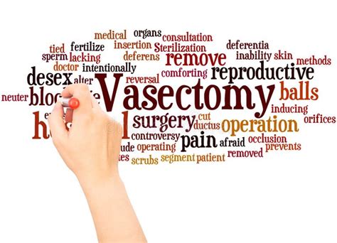 Vasectomy Stock Illustrations 85 Vasectomy Stock Illustrations