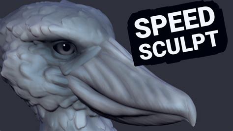 Digitally Sculpting A Mean Birb Zbrush Speed Sculpt Youtube