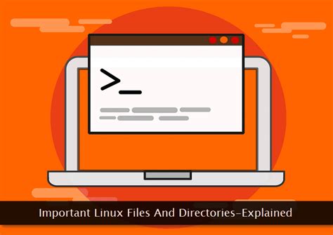 linux files and directories explained [a beginner s guide]