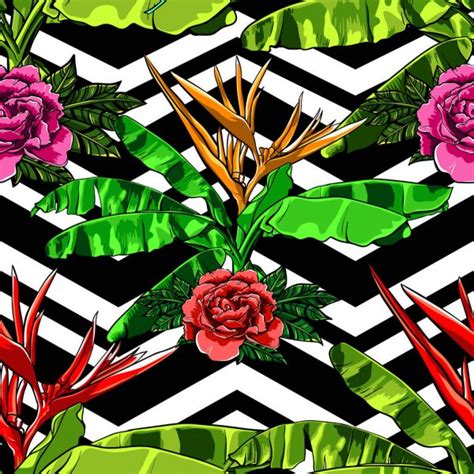 Tropical Leaves And Exotic Flowers On Background White Zigzag Exotic