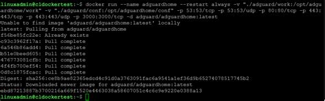 Adguard Dns And Adguard Home With Adguardian Best Web Protection