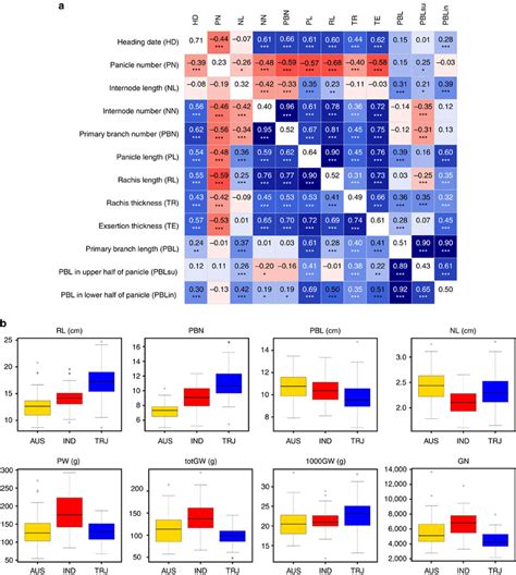 Phenotypic Analysis Reveals Trait Relationships And Subpopulation