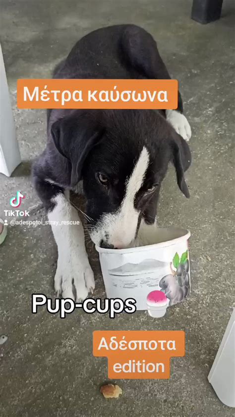 Χλε Μπονα Σαμερ On Twitter Rt Adespotoi Heat Wave Measures