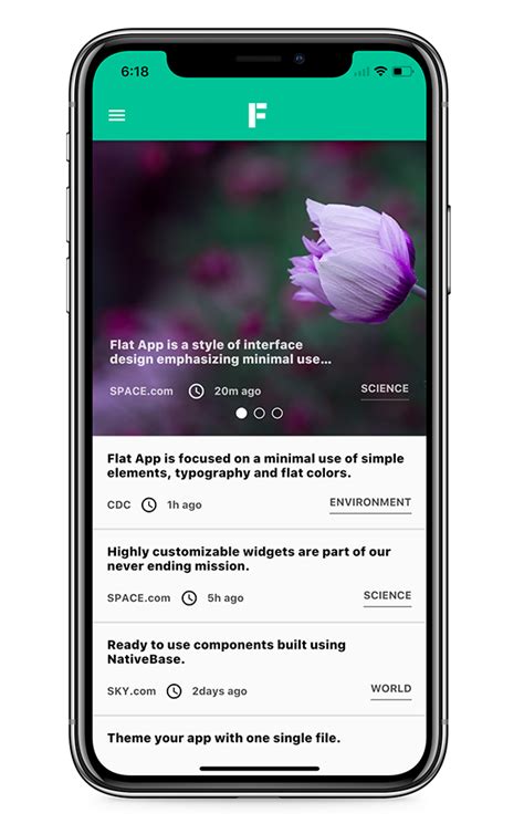 premium flutter themes and templates