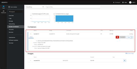 mariadb docker